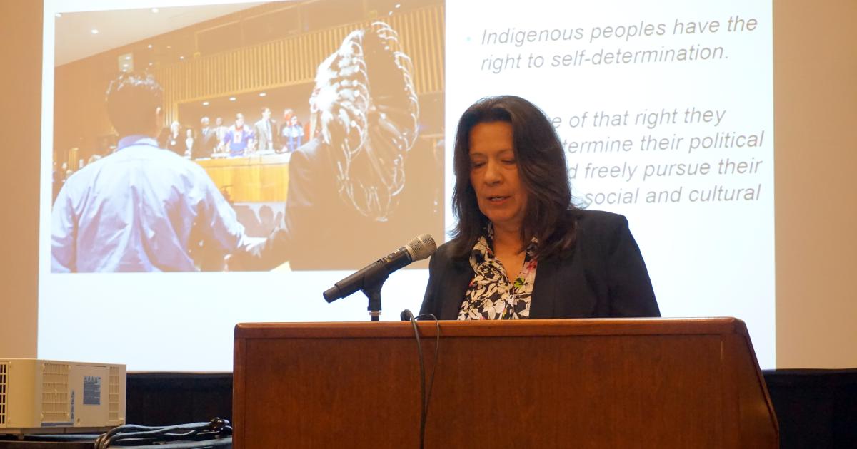 Minnesota tribes learn about engaging in the UN | Indian Law Resource ...